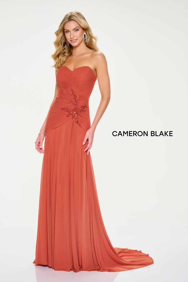 French Novelty: Cameron Blake CB202 Breathtaking A-Line Mothers Dress